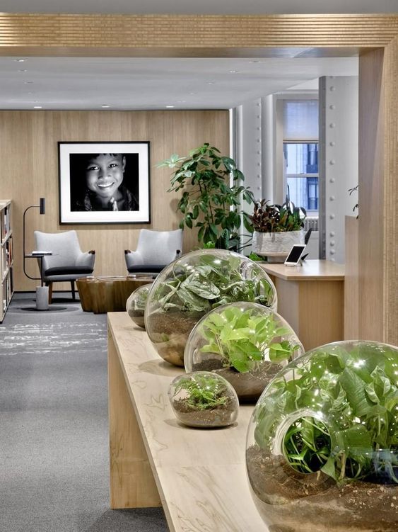 Creating a Biophilic Workspace – Advanced Furniture Solutions